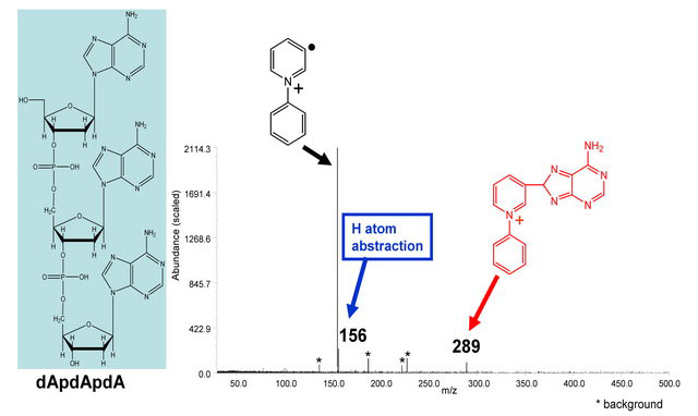 Purdue Chemistry: Kenttämaa Labs: Molecular level studies